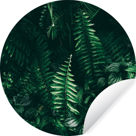 WallCircle - Muurstickers - Behangcirkel - Bladeren - Jungle - Natuur - Tropisch -... | bol