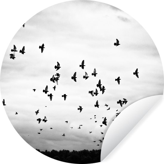 Behangcirkel - Zelfklevend behang - Vogel - Wolken - Zwart - Wit - 100x100 cm -... | bol.com
