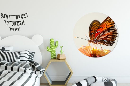 WallCircle - Behangcirkel - Vlinder - Insect - Bloemen - Natuur - Muurdecoratie -... | bol.com