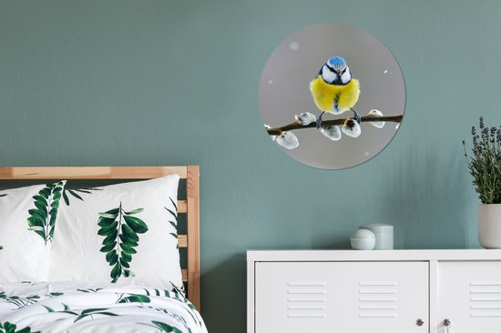 WallCircle - Behangcirkel - Pimpelmees - Vogel - Tak - Bloemen - Zelfklevend behang -... | bol.com