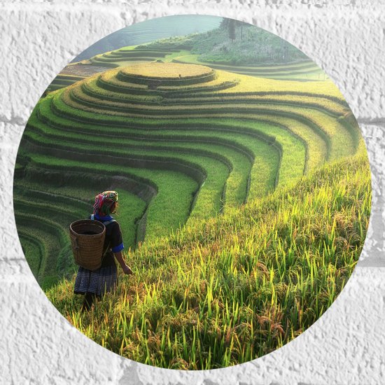 WallClassics - Muursticker Cirkel - Persoon Werkend in Rijstveld ...