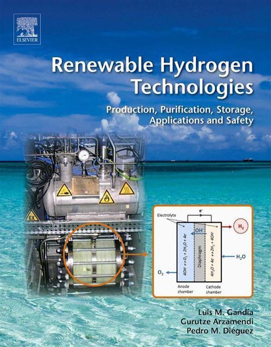 Renewable Hydrogen Technologies (ebook), Luis Gandia | 9780444563613 | Boeken | bol.com