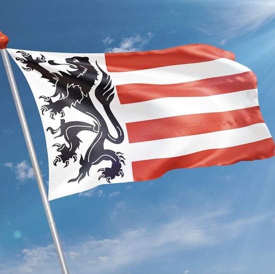 Vlag Sas van Gent - 200 x 300 cm - Polyester | bol.com