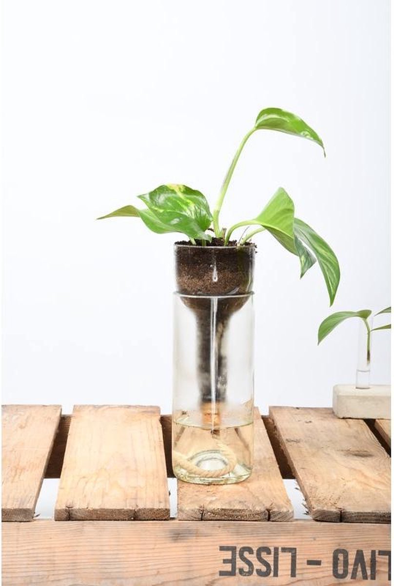 Esschert Design Fles bloempot | bol.com