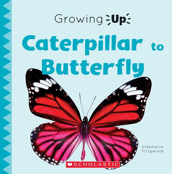 Growing Up - Caterpillar to Butterfly (Growing Up) (ebook), Stephanie ...