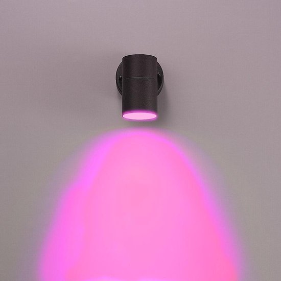 Hoftronic Smart Mason Smart Wandlamp Voor Buiten Zwart Besturing