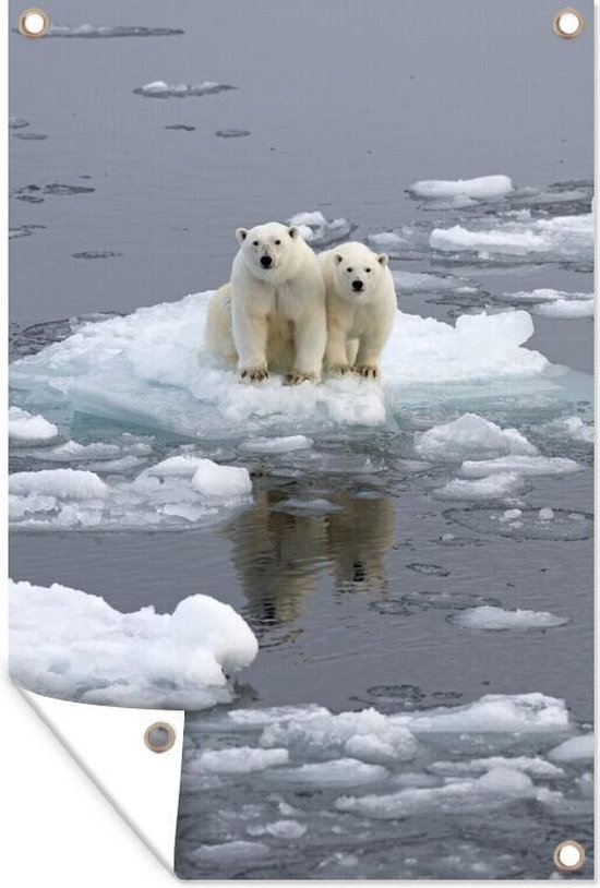 Tuinposter - Tuindoek - Tuinposters buiten - IJsberen - Dieren - IJs ...