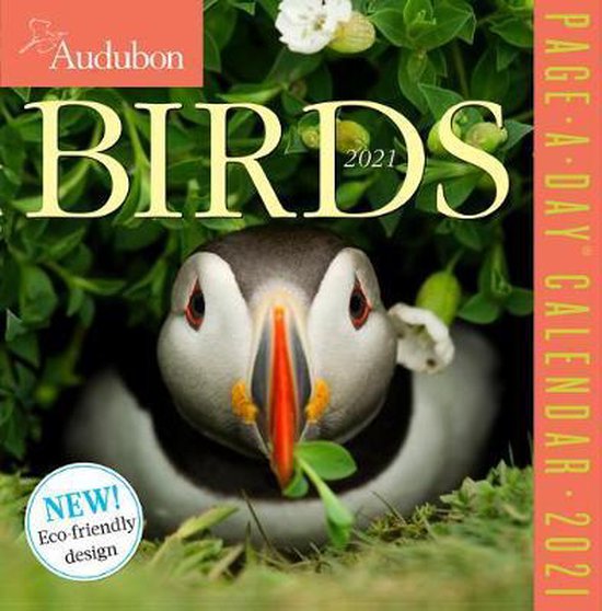 Audubon Birds Page-a-Day Calendar 2021 | bol.com