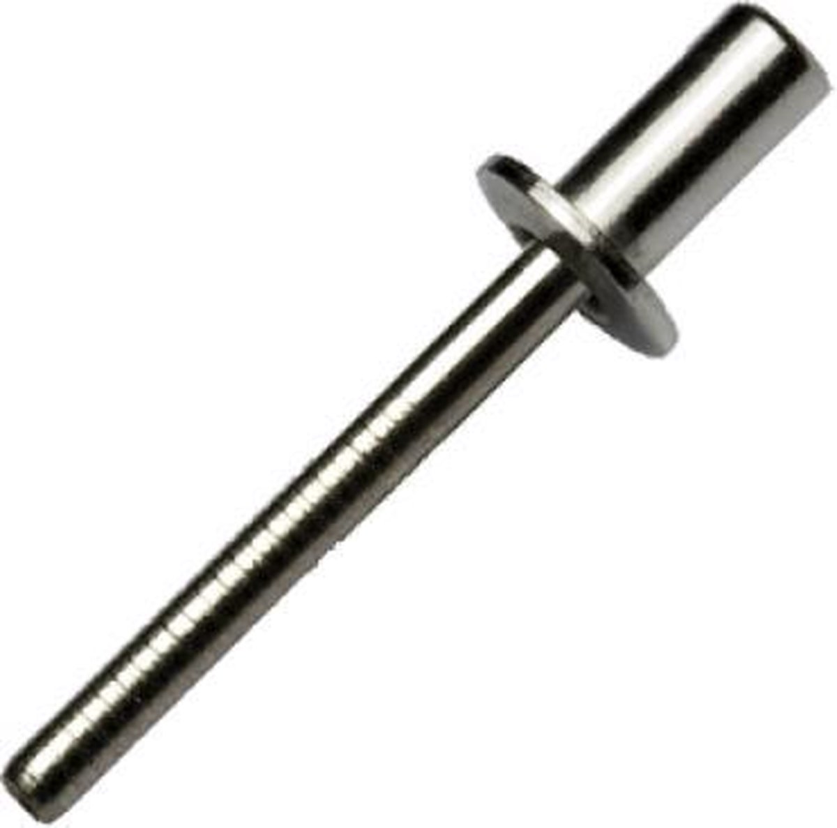 Topex Popnagels 4,8x12,5mm 50st | bol.com