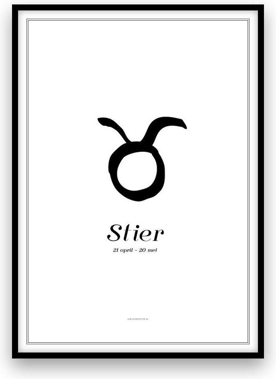 Stier - Poster - A3 formaat | bol