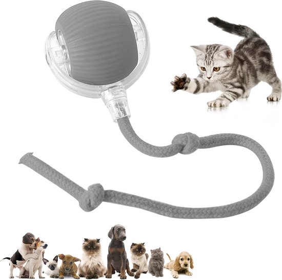 Interactief kattenspeelgoed Bal voor binnen - Kat Speelgoed ...
