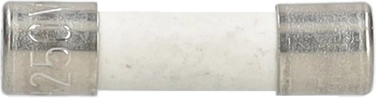 glaszekering 3,15A traag Ø5x20mm per 10 stuks | bol