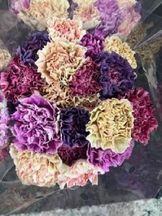 20x Dian.vintage mix 60cm | bol
