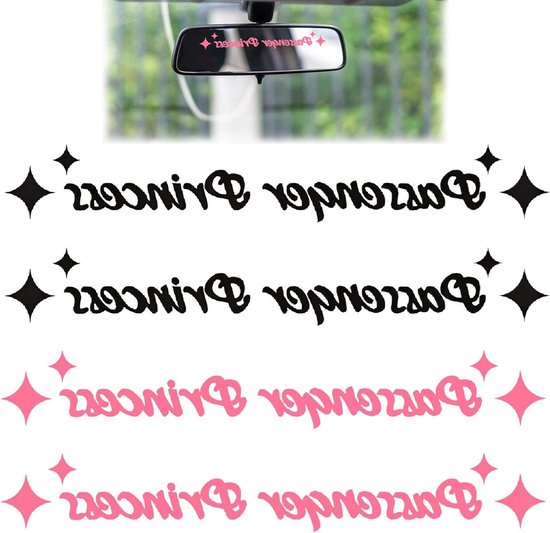 Set van 4 passagiers-prinses stickers - grappige en schattige ...