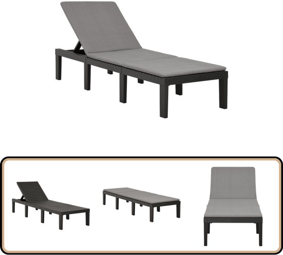 vidaXL Ligbed met kussen - Kunststof - Antracietkleurig Ligbed ...