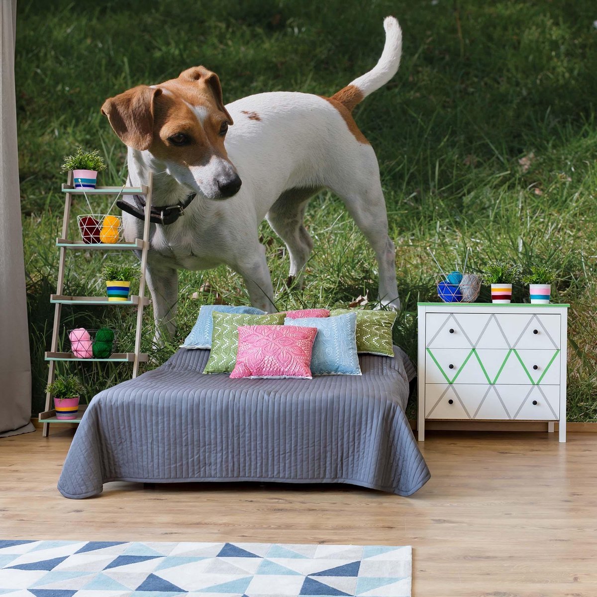 Fotobehang - Vlies Behang - Jack Russel - Hond - 254 x 184 cm | bol.com