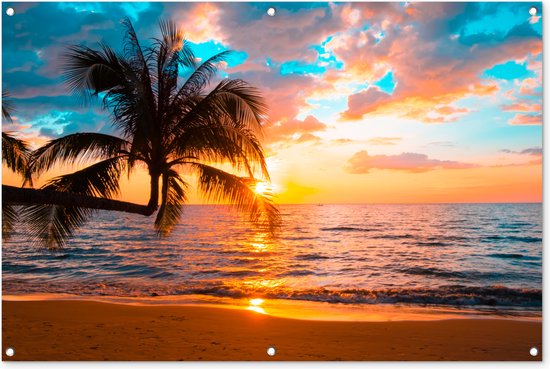 Tuinposter zonsondergang beach - Tuindecoratie strand met palmbomen ...
