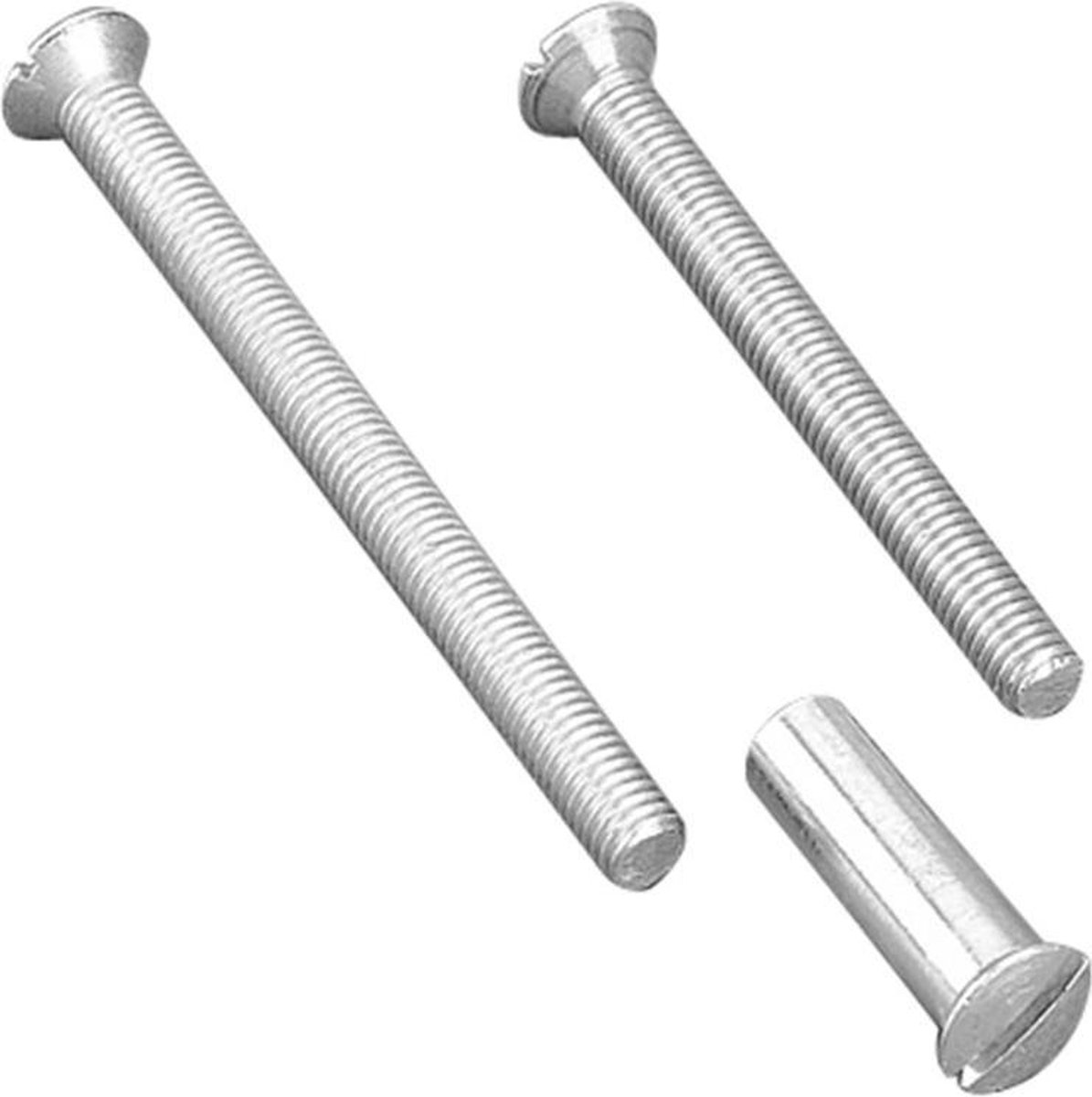 AMI Patentbout M5x80 RVS | bol.com