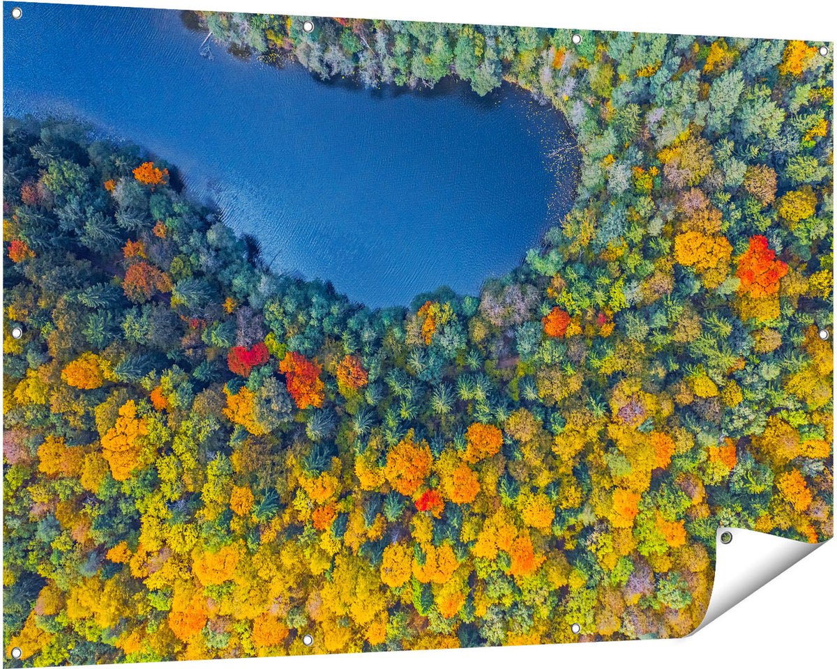 Gards Affiche de jardin Forêt colorée avec des Arbres au bord d'un lac - 150x100 cm -... | bol.com
