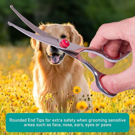 Curved Scissors for Dogs and Cats - High Performance Titanium Coated ...