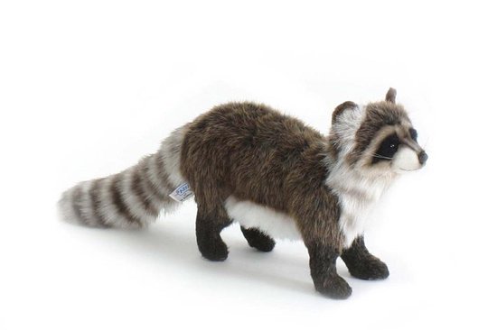 Hansa Cuddle Raccoon debout | bol.com