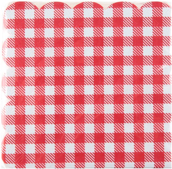 Boeren ruitjes feest wegwerp servies set - 10x bordjes / 10x bekers ...