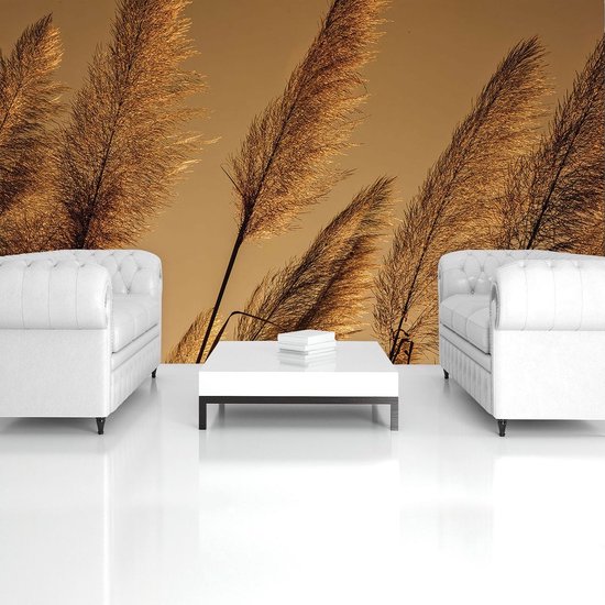 Fotobehang - Vlies Behang - Graan - Graanveld - 416 x 254 cm | bol