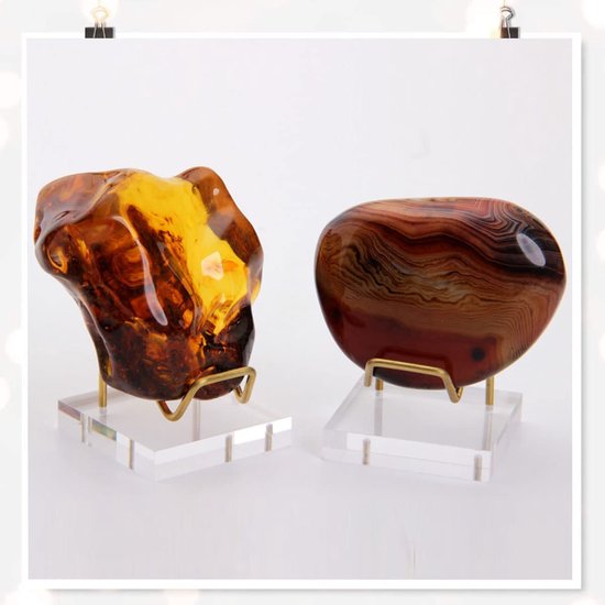 Collectible Display Fossil Holder Stand Acryl Mini Clear Card Stand ...