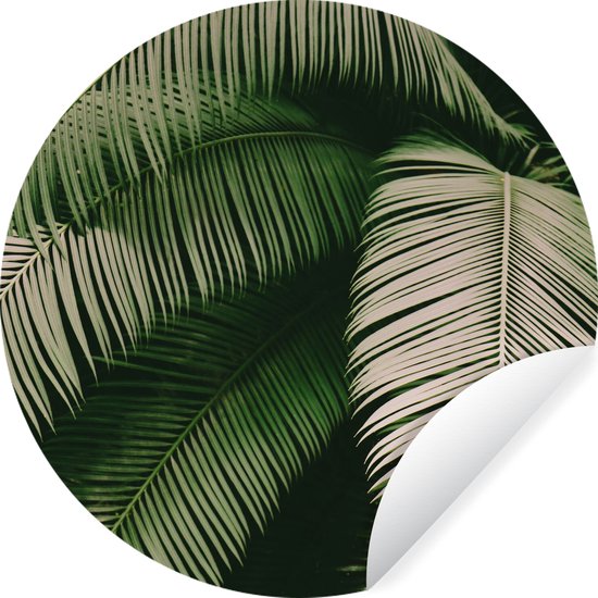 WallCircle - Muurstickers - Behangcirkel - Palmbladeren - Zomer - Tropisch - 120x120... | bol.com