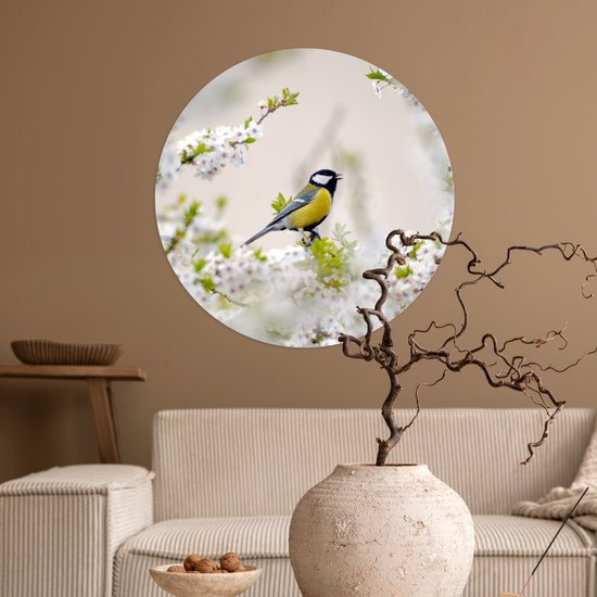WallCircle - Behangcirkel - Vogel - Koolmees - Bloemen - Bloesemboom ...