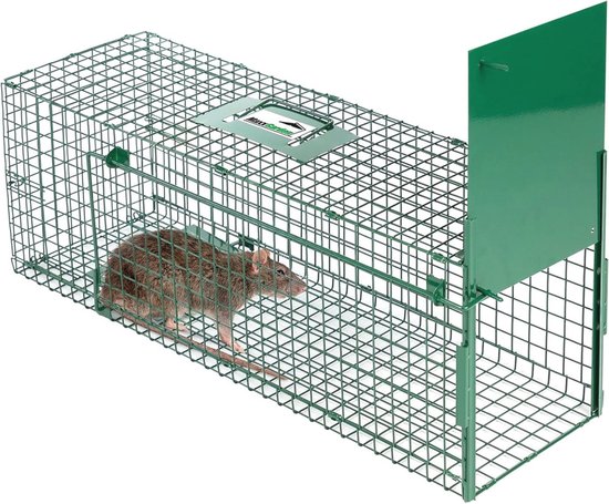 Ongedierte Vangkooi - Levende Rattenval en Muizenval - Veilig en ...