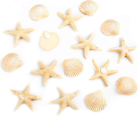 schelpen decoratieve / oceaanschelpen 16 van | bol