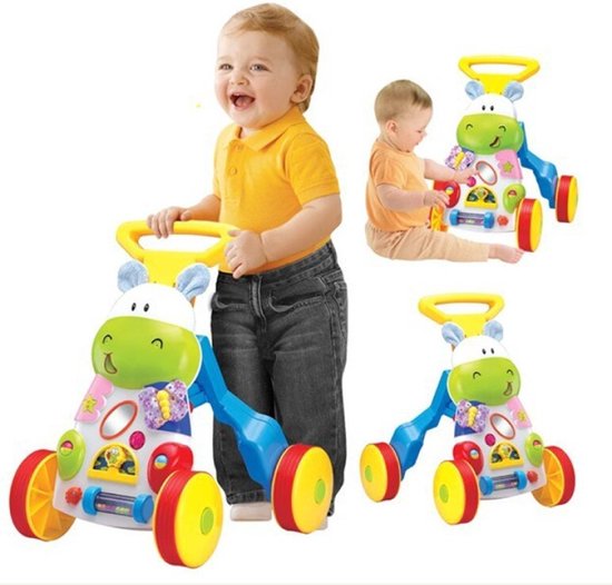 IGOODS - Duw Kar Baby's - Educatief loop Kar - Babyspeelgoed | bol