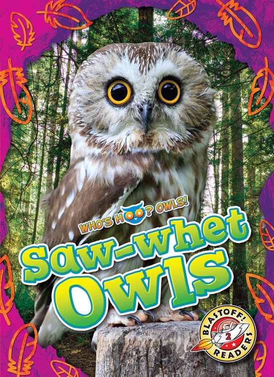 Who's Hoo? Owls! - Saw-whet Owls (ebook), Rachael Barnes ...