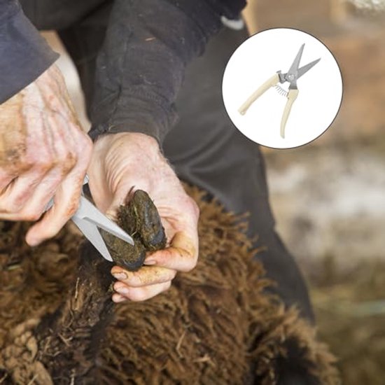 Goat Claw Trimmers, Stainless Steel Hoof Trimmer with Feathered Sheep ...