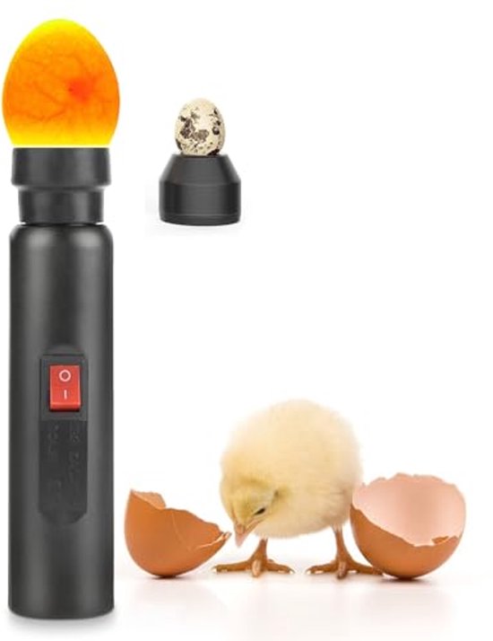 Chicken Egg Chicken Egg Growing Lamp Fertility Tester Chicken Egg ...