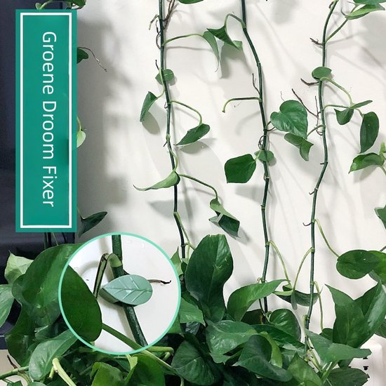 50 stuks - Fixer - Wijnstok Groene Plant Muur Groen Blad Model Groene ...