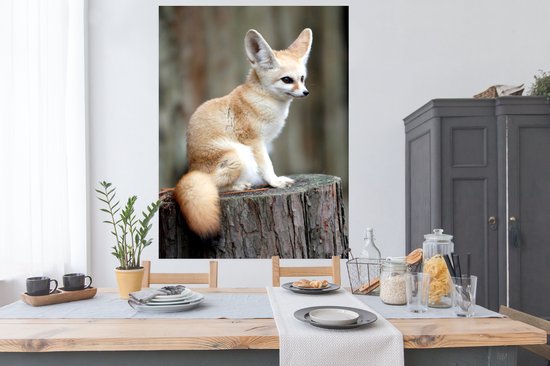 Schattige Fennek op een boomstam Poster 120x160 cm - Foto print op Poster... | bol