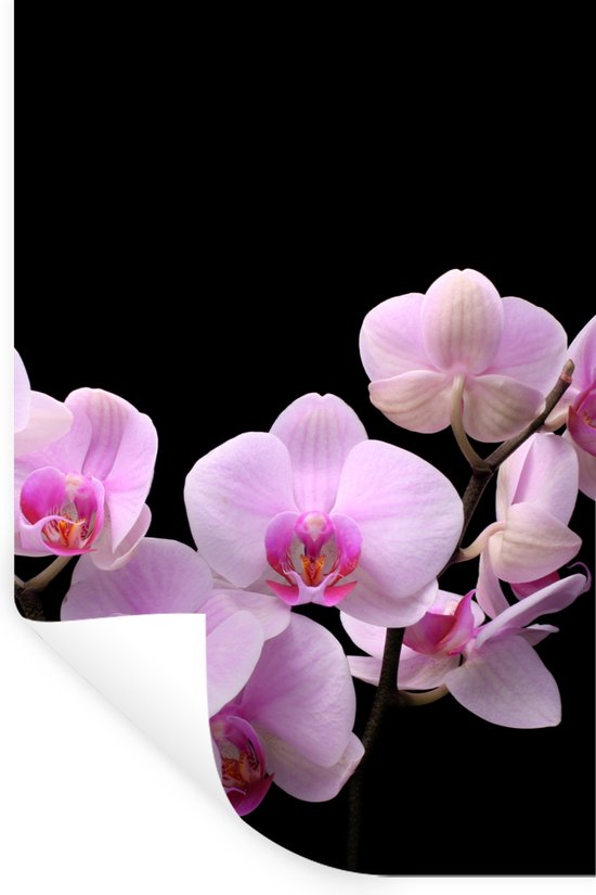 Muurstickers - Sticker Folie - Orchidee - Bloemen - Roze - Flora ...