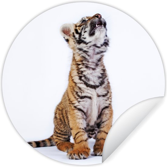 WallCircle - Muurstickers - Behangcirkel - Tijger - Welp - Wit - ⌀ 120 cm - Muurcirkel... | bol