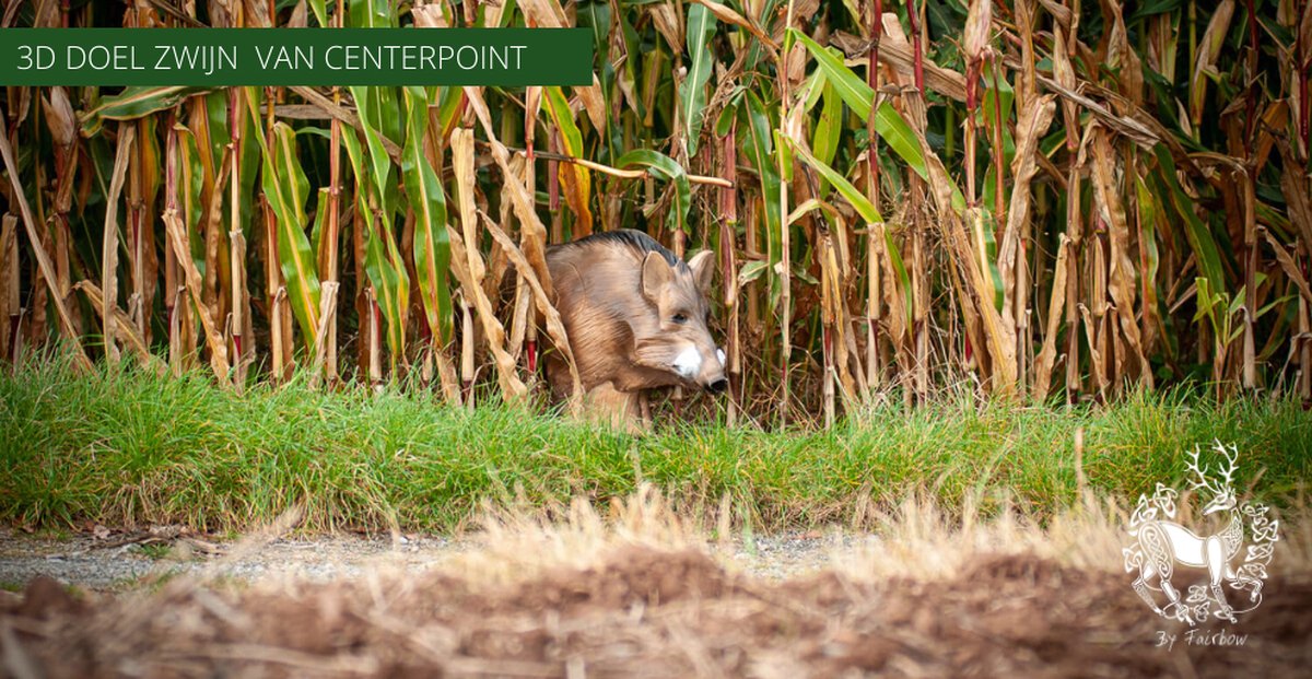 3D DOEL ZWIJN VAN CENTERPOINT | bol