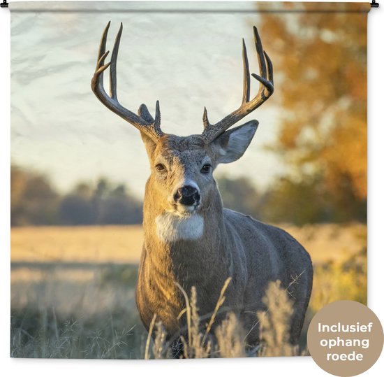 Wandkleed - Wanddoek - Hert - Gras - Herfst - Gewei - Natuur - Dieren - 180x180 cm -... | bol