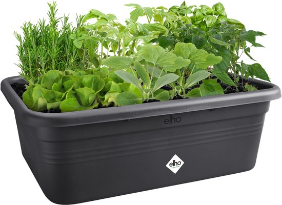 Elho Green Basics Grow Garden l - Grote Kweekbak - Moestuinbak met ...