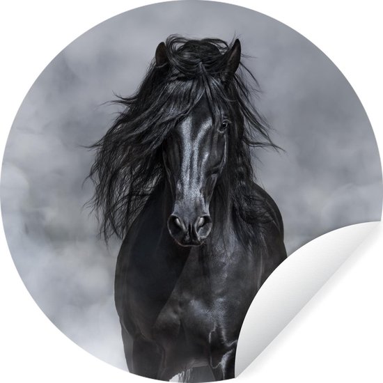 WallCircle - Muurstickers - Behangcirkel - Paard - Zwart - Rook - 50x50 cm -... | bol.com