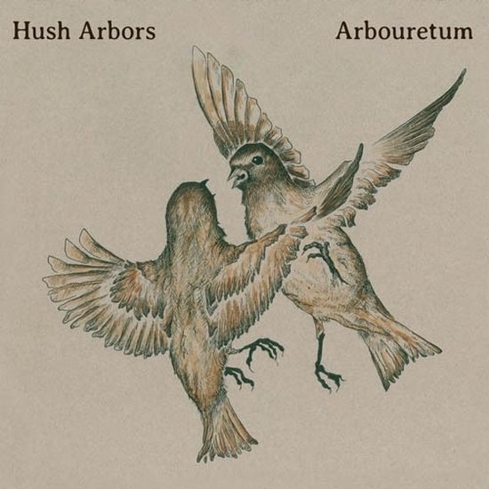 Hush Arbors & Arbouretum - Aureola (LP) (Limited Edition), Arbouretum ...