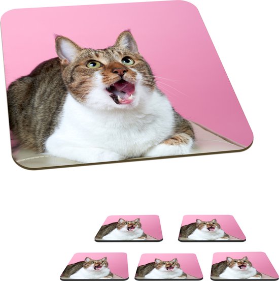 Onderzetters voor glazen - Kat - Roze - Poef - Meisjes - Kinderen ...