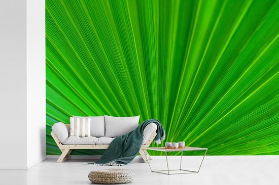 Behang - Fotobehang Tropisch - Plant - Groen - Breedte 360 cm x hoogte ...