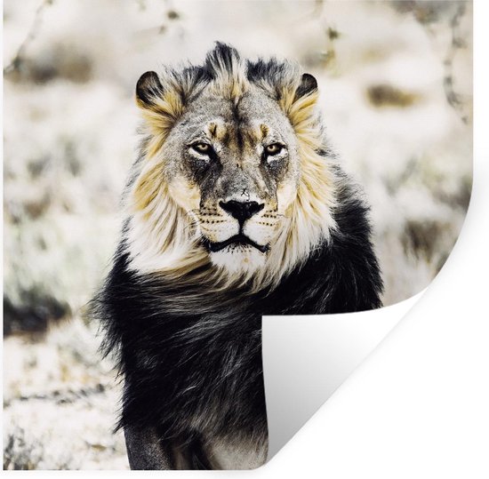 Muurstickers - Sticker Folie - Wilde dieren - Leeuw - Zwart - 120x120 cm - Plakfolie -... | bol