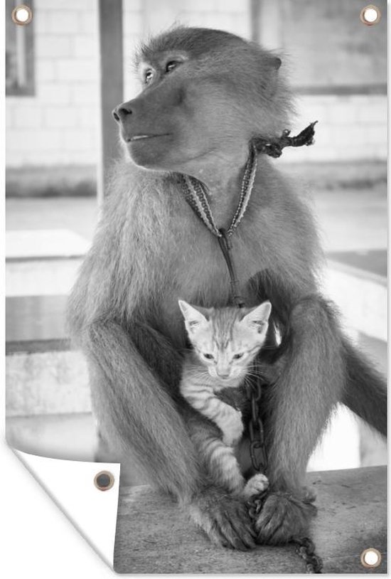 Décoration murale Singe tient chat - noir et blanc - 120x180 cm ...
