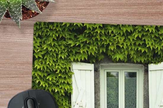 Bureau mat - Raam met luiken tussen de klimplanten - 60x40 | bol.com